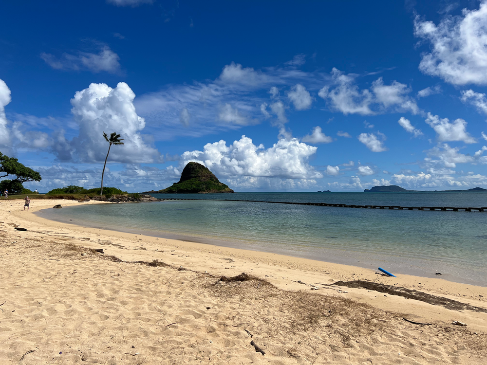 15 Books Set In Hawaii To Read Before Visiting | A Well-Read Wanderer