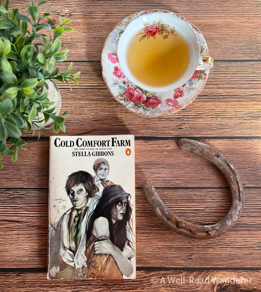 12 Cozy Books That Feel Like A Warm Hug | A Well-Read Wanderer